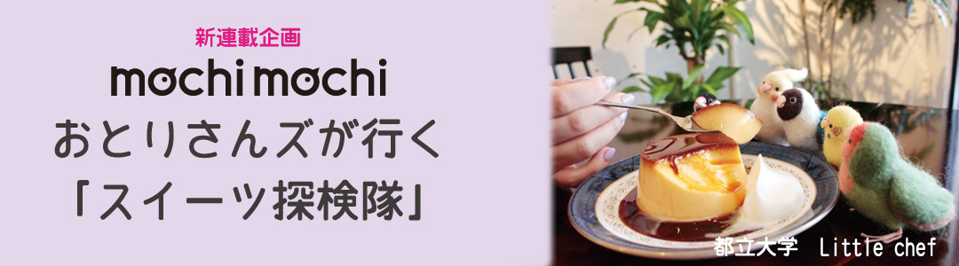 mochimochi | 情報紙ターミナル